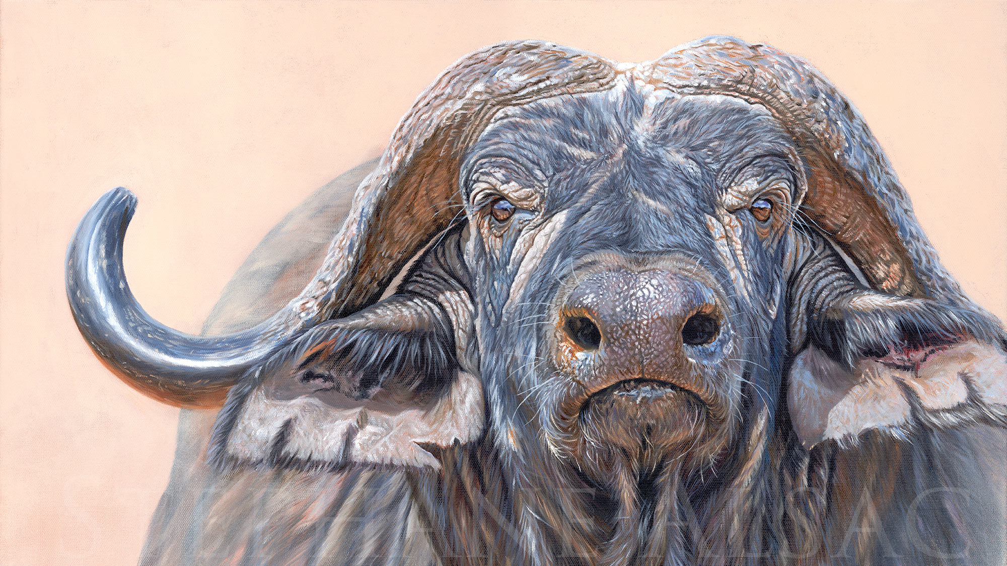 Stephan Alsac - Contemporary Hyperrealist Wildlife Artist
