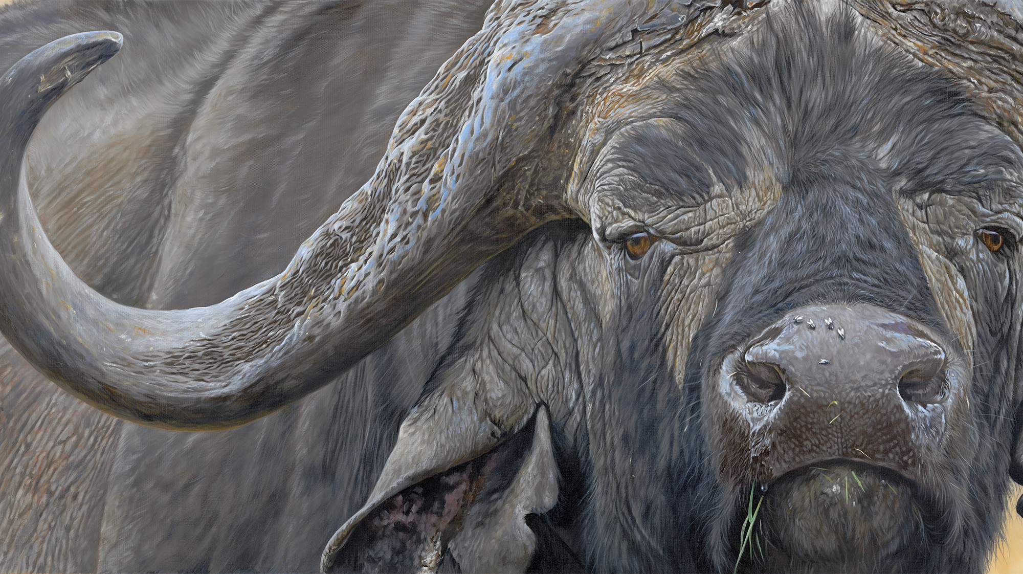 Stephan Alsac - Contemporary Hyperrealist Wildlife Artist