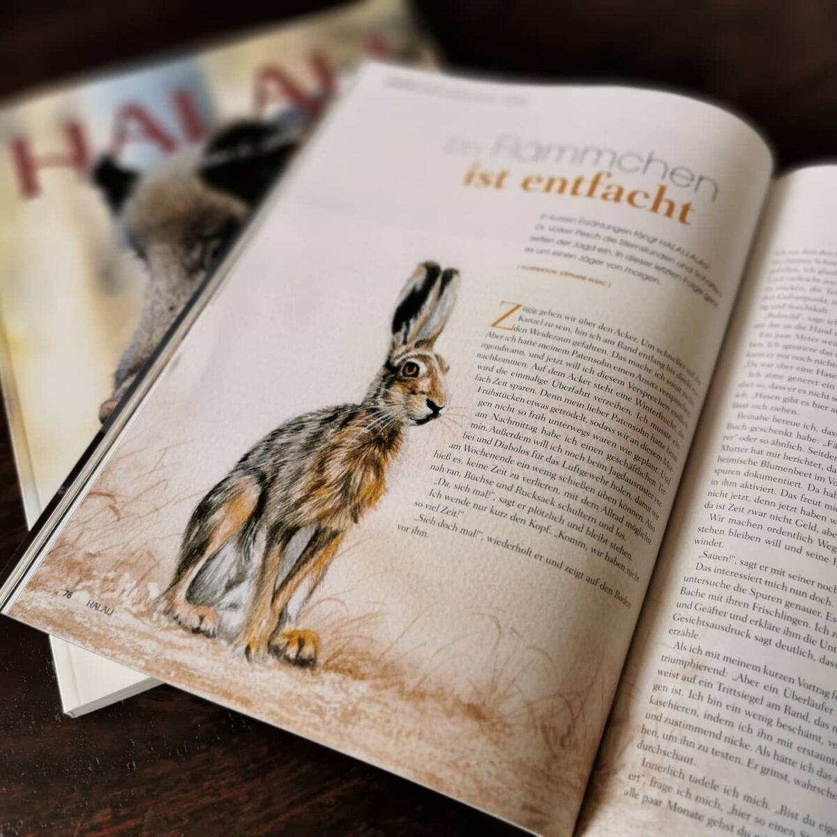 My Hare illustration in the magazine Halali this month! #hunting # ...